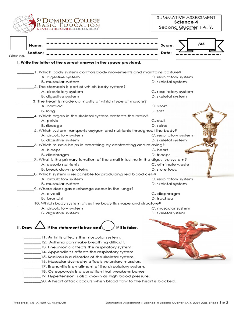 Sa2 - Science 4 - Ay 2024-2025 | PDF | Respiratory System | Circulatory ...