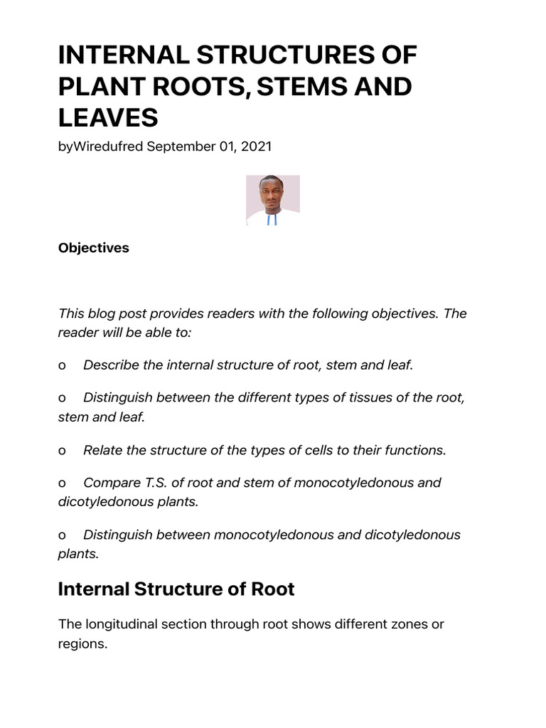Internal Structures of Plant Roots, Stems and Leaves | PDF | Leaf | Root