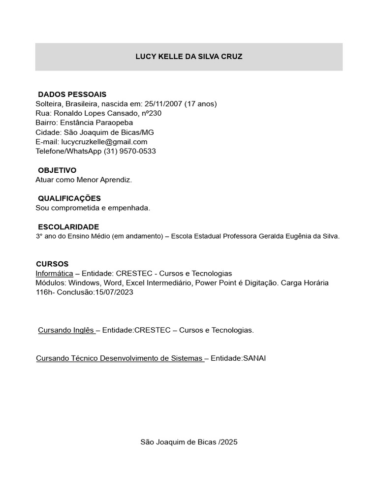 Currículo 2023 Lucy | PDF