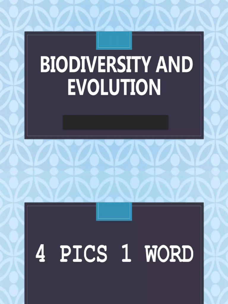 Biodiversity Evolution | PDF