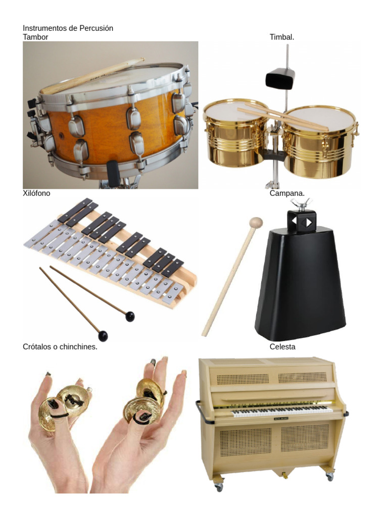 Instrumentos de Percusión: Timbal y Más | PDF
