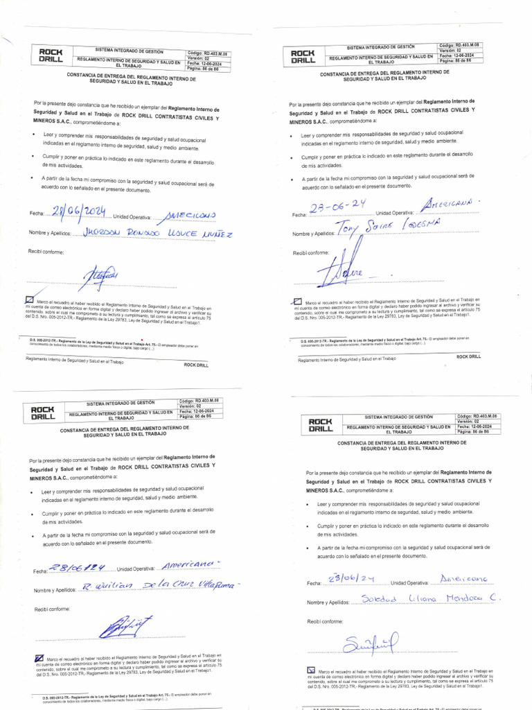 Entrega de Risst - 2024 | PDF