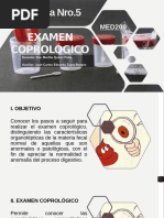 Atlas de Coprológico. Atlas de Coprología. | PDF | Digestión | Leucocito