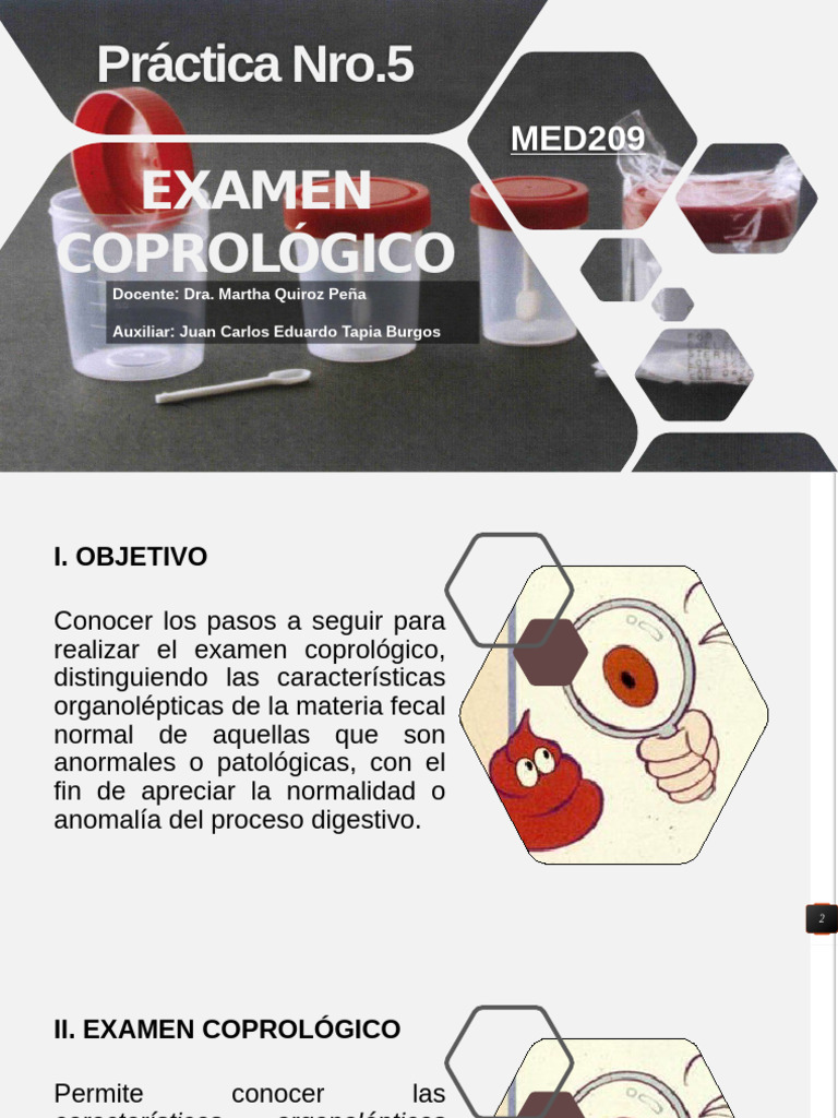 5. EXAMEN COPROLOGICO | PDF | Heces | Diarrea