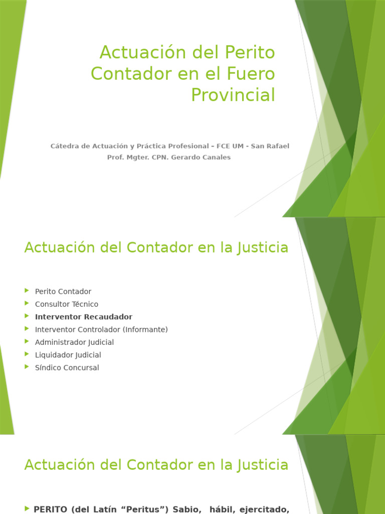 Perito Contador en la Justicia Provincial | PDF | Testigo experto | Juez