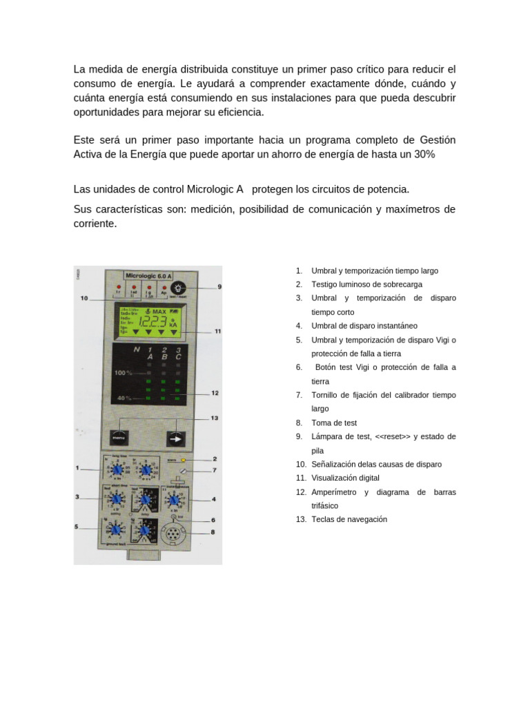 Micrologic 6.0 | PDF | Cambiar | Electricidad