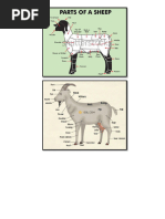 Bovine Breed Codes List | PDF | Livestock | Mammal Breeds