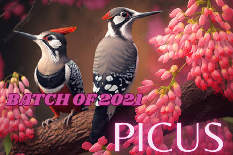 Picus 20230828 200512 0000 | PDF