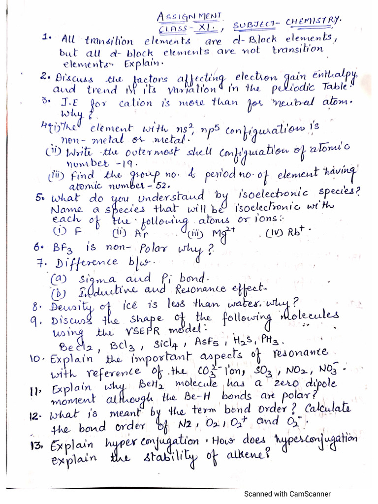 Assignment Class-XI | PDF