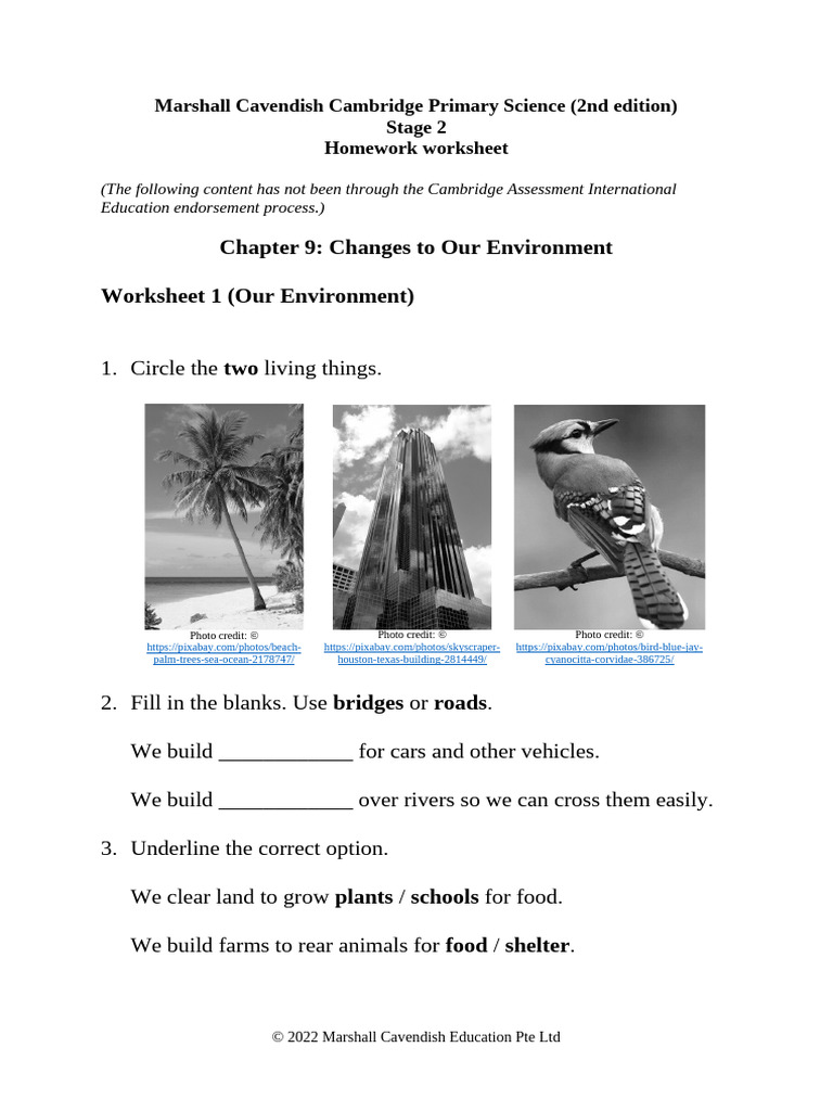Grade 2 Science: Environment Changes Worksheets | PDF
