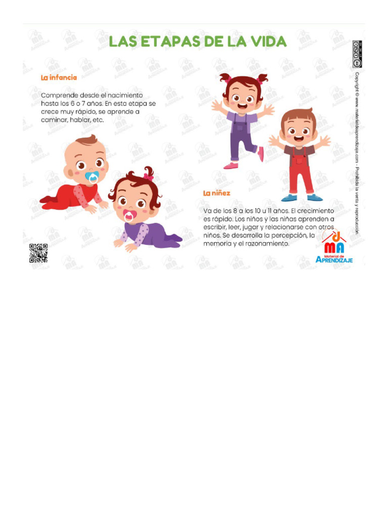 etapas de la vida | PDF