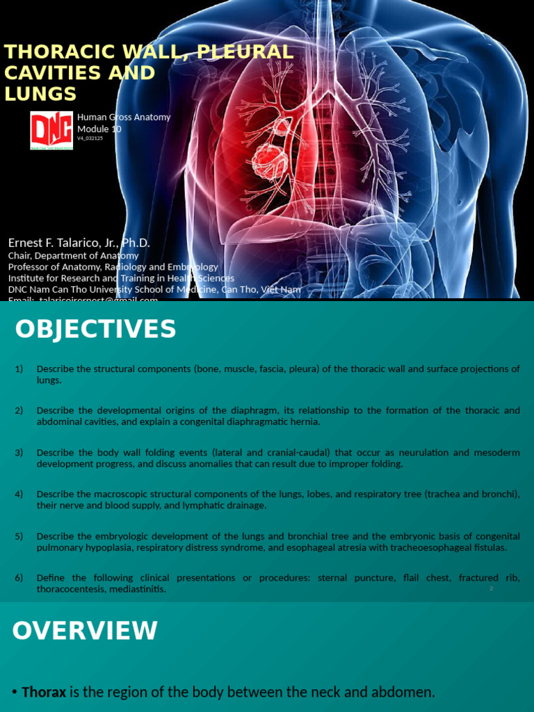 HGA Module 10 - Thoracic Wall - Pleural Cavities - Lungs V4DNC 032125 ...