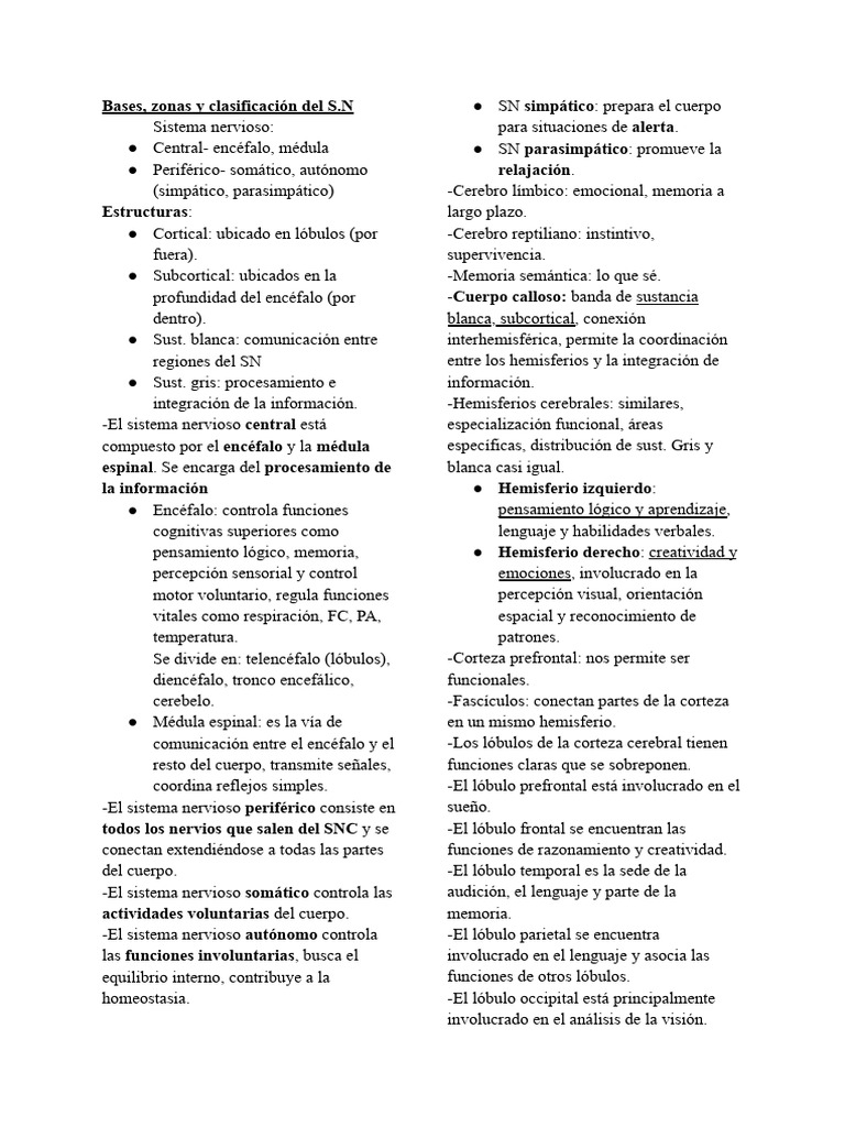 Examen Neuro | PDF | Sinapsis | Neurona
