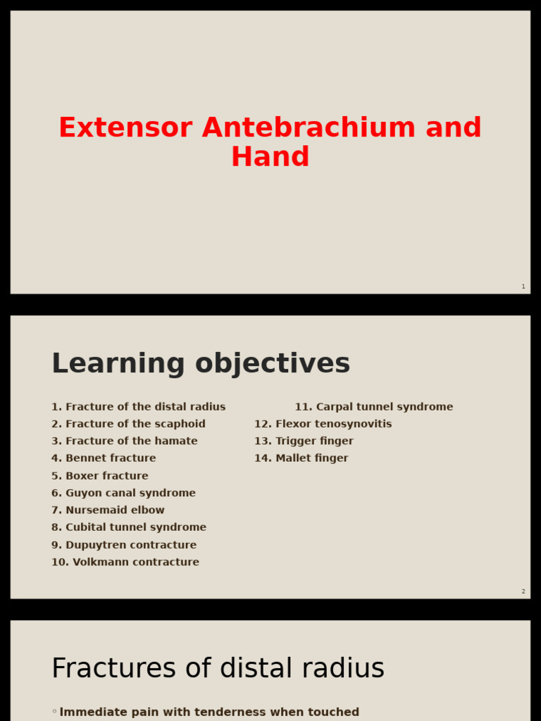 Week 4 Extensor Antebrachium and Hand | PDF | Hand | Elbow