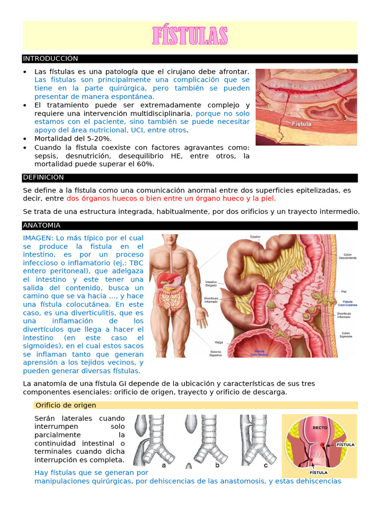Fístulas: Complicaciones y Tratamientos Quirúrgicos | PDF ...