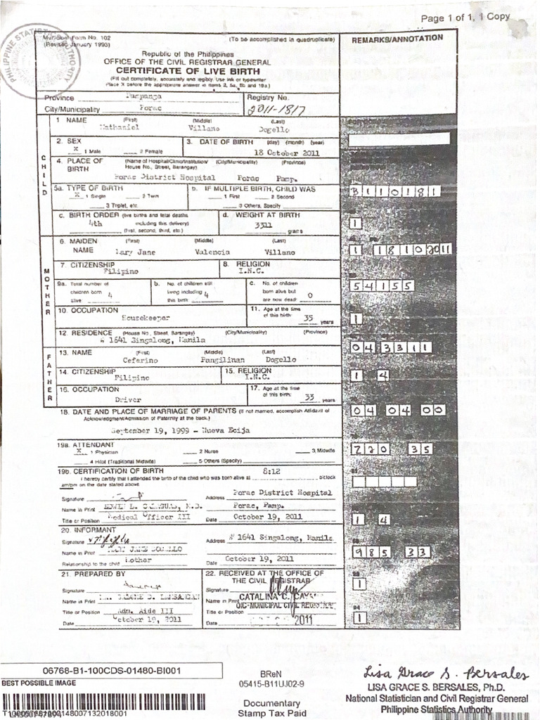 Birth Certificate - Nat | PDF