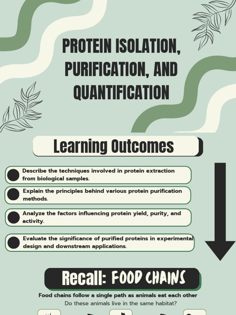 Protein Isolation and Purification Techniques | PDF | Protein ...