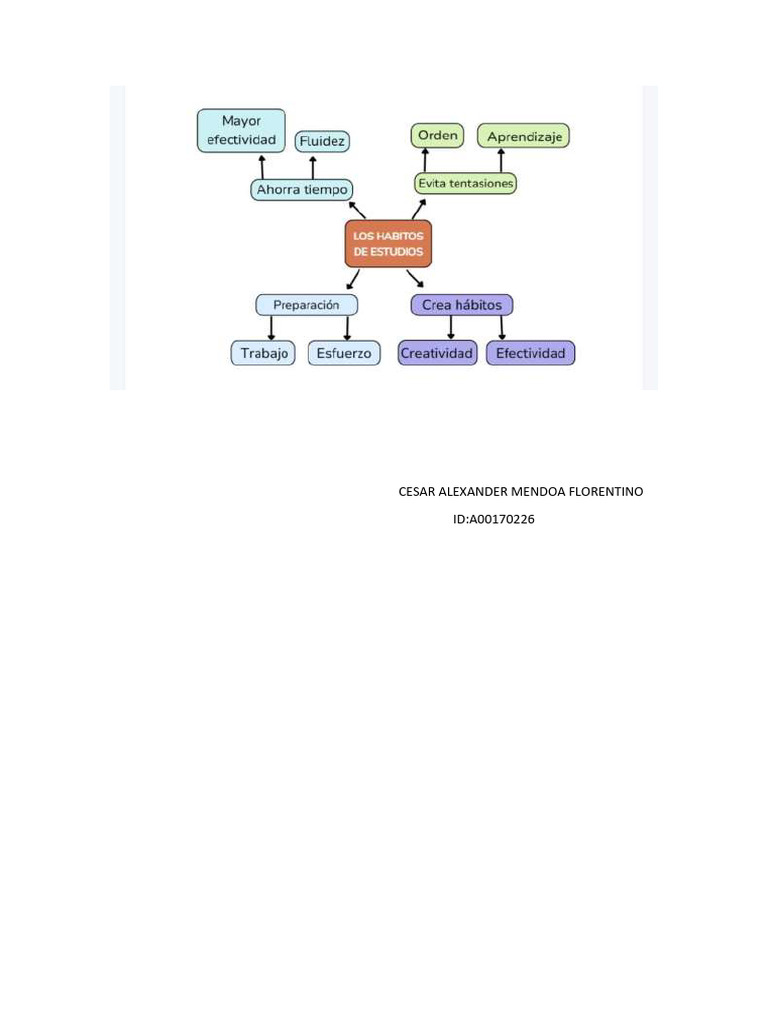 Cesar Alexander Mendoa Florentino | PDF