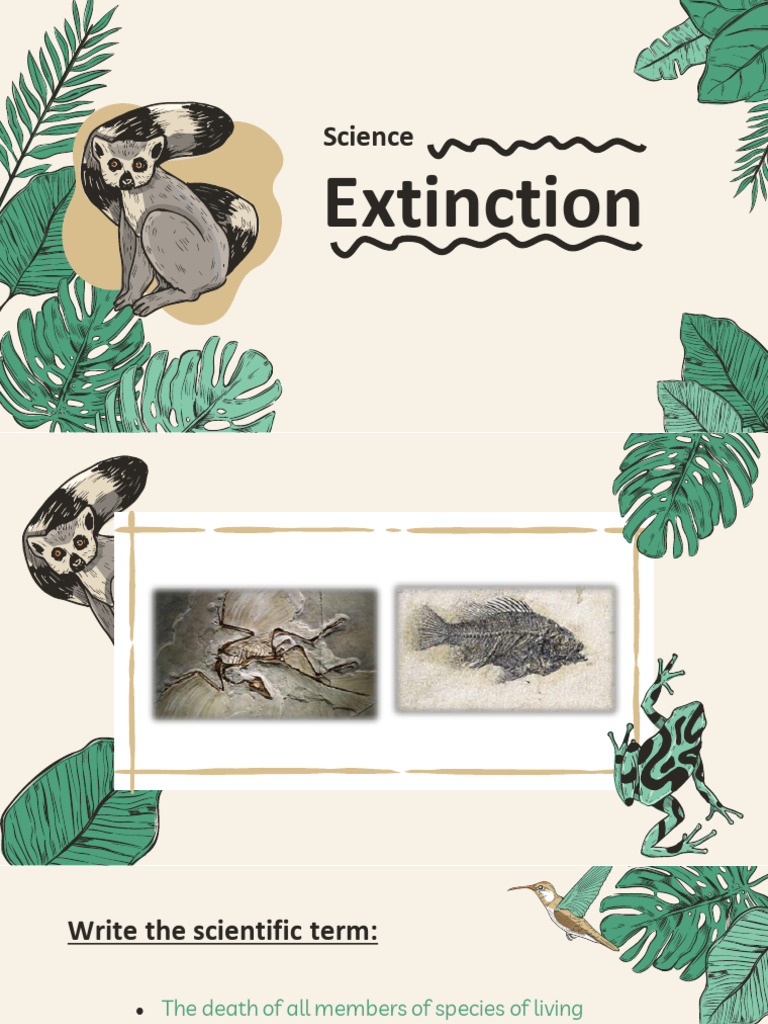Causes of Species Extinction Explained | PDF