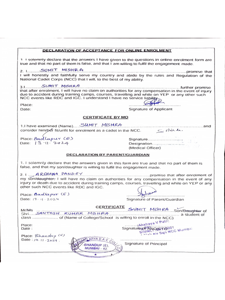 Default Folder - 20241129 | PDF