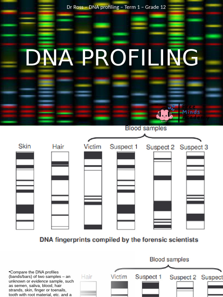 Understanding DNA Profiling Techniques | PDF | Dna Profiling | Forensic Science