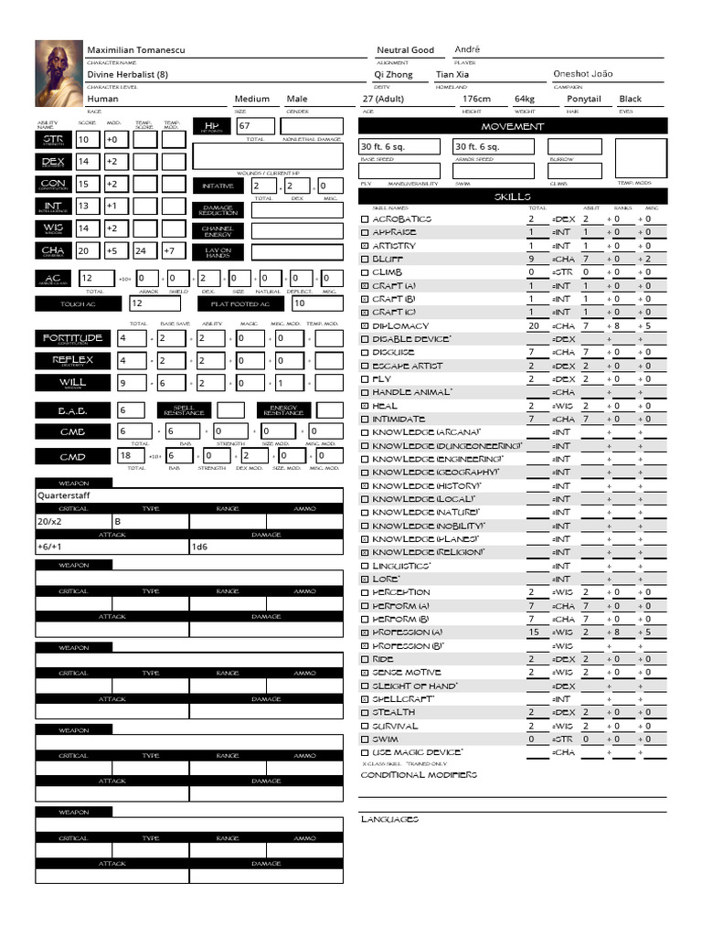 Charactersheet 17 | PDF | D20 System
