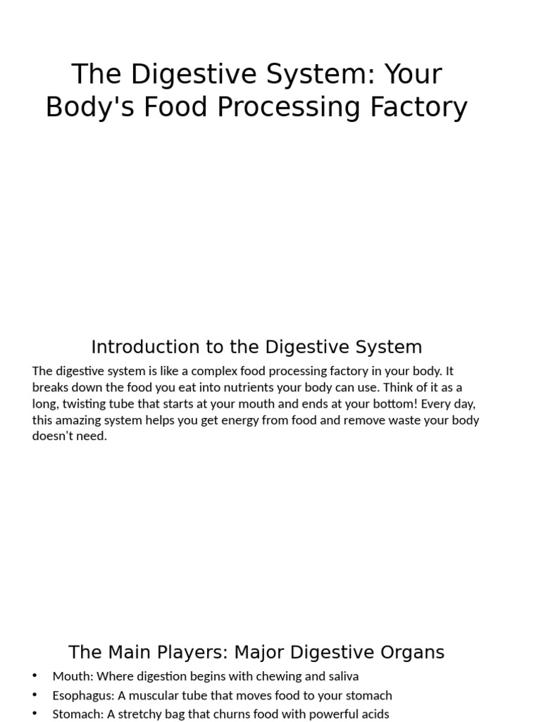 The Digestive System Your Body S Food Processing Factory | PDF