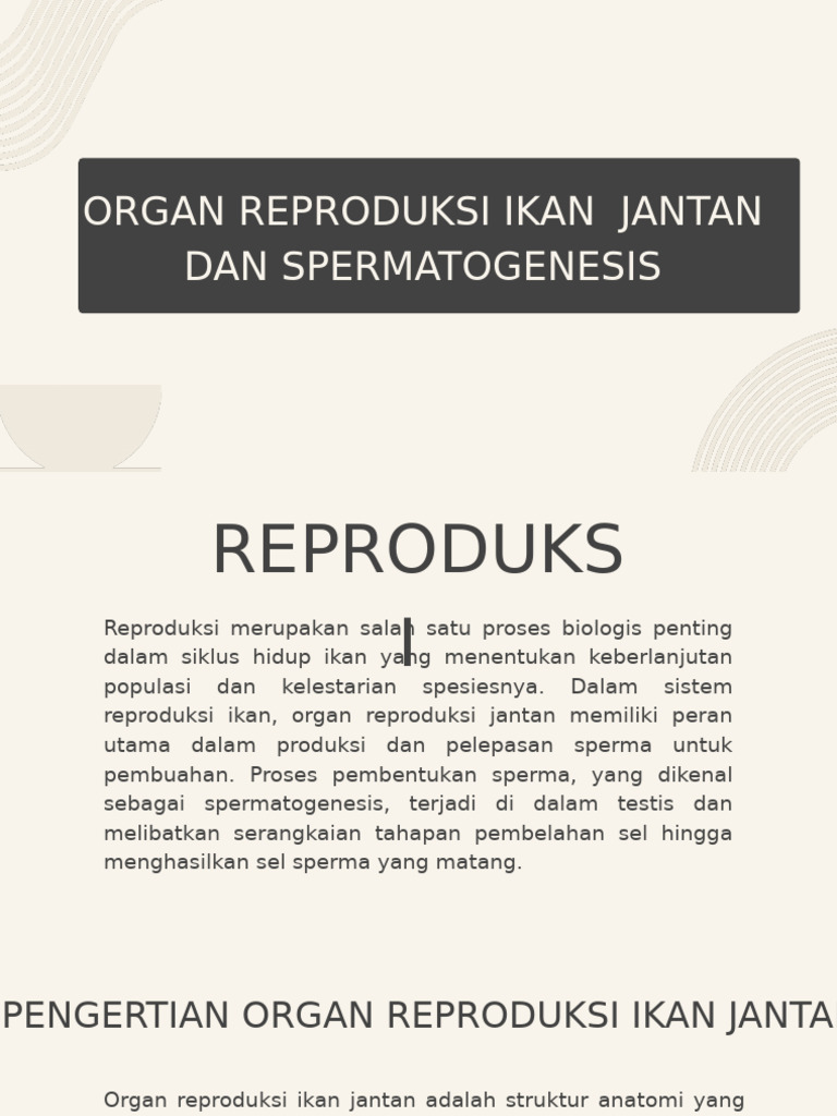 Organ Reproduksi Ikan Jantan Dan Spermatogenesis _20250324_062818_0000 ...
