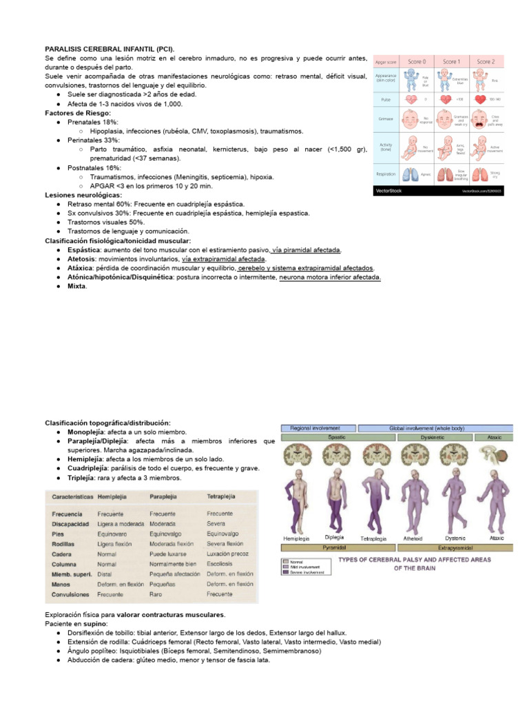 Paralisis Cerebral Infantil (Pci) | PDF | Enfermedades y trastornos ...