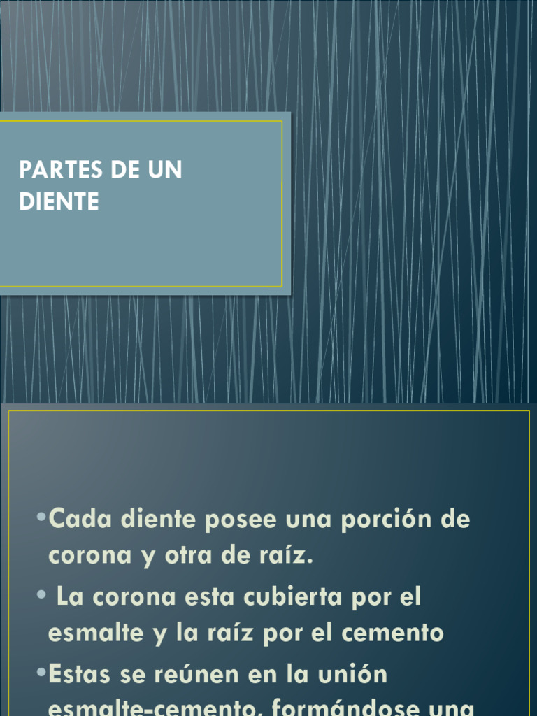 Estructura y Tejidos del Diente | PDF