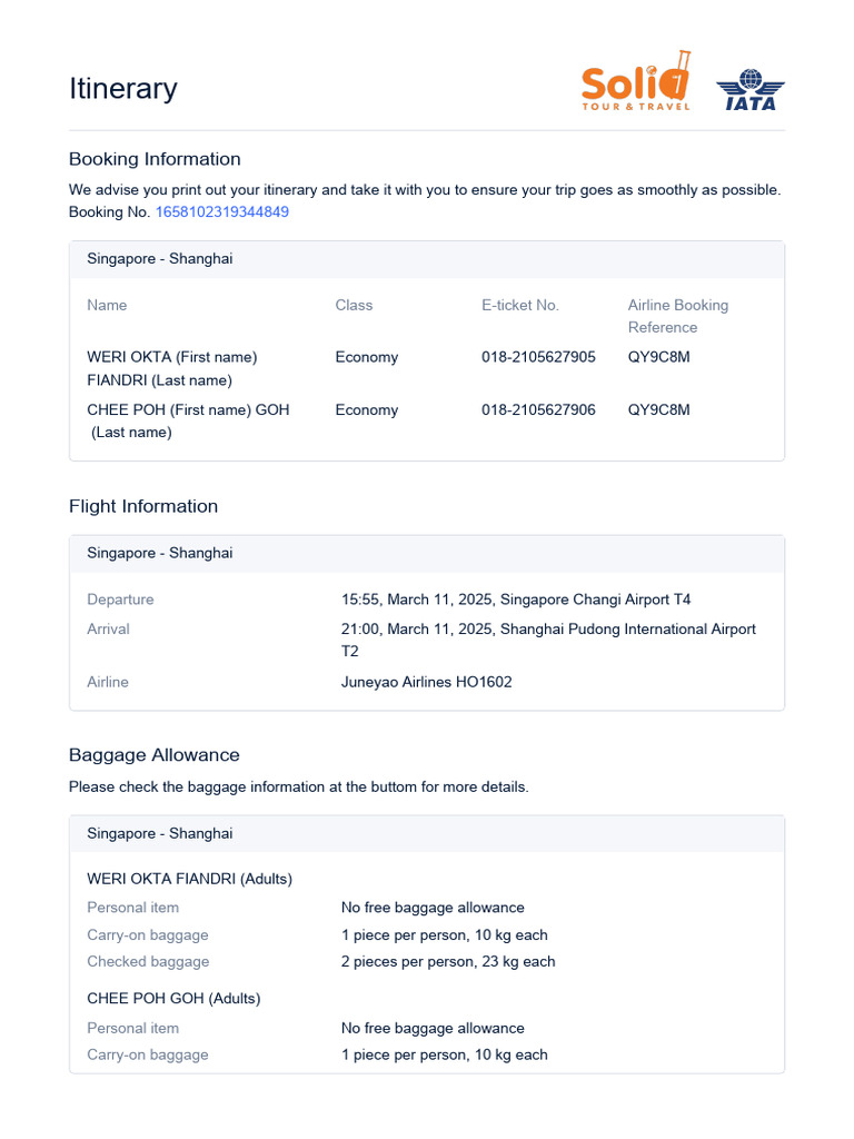Flight Ticket - Sin-Pvg 11 Mar'25 | PDF | Airlines | Civil Aviation