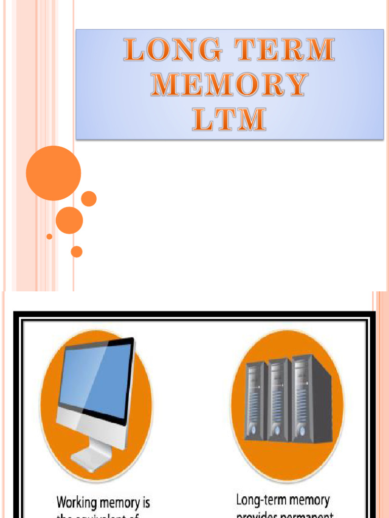 Long Term Memory LTM | PDF