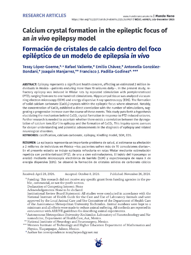 Vista de Calcium Crystal Formation in The Epileptic Focus of An in Vivo ...