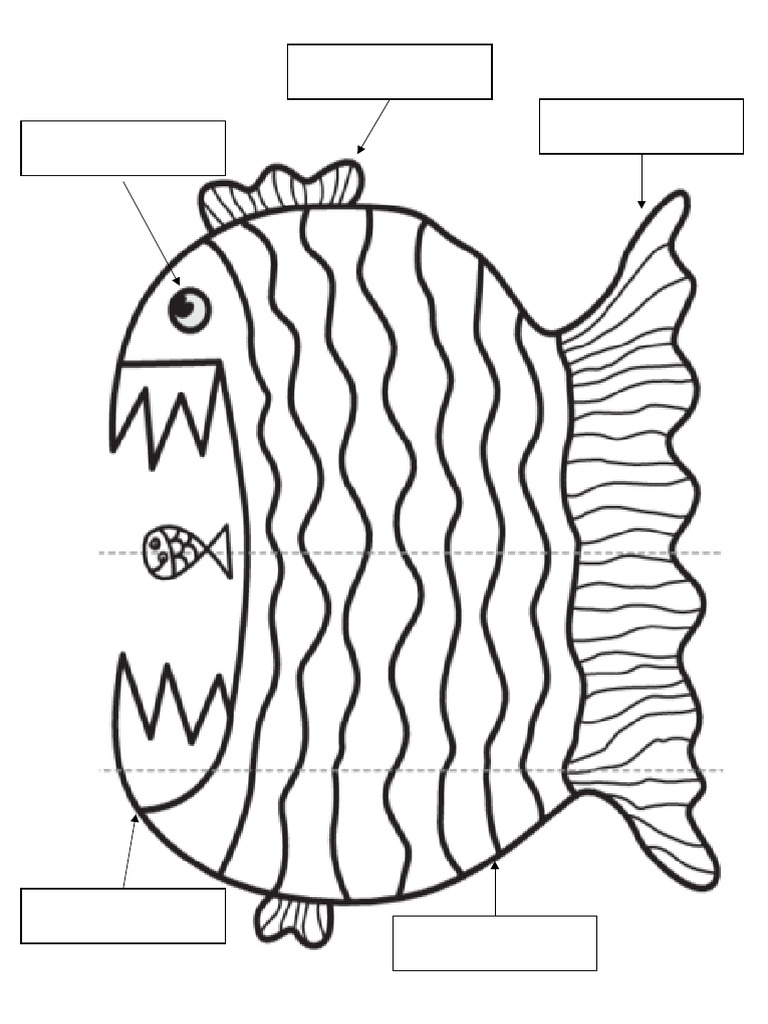 Fish Body Part | PDF