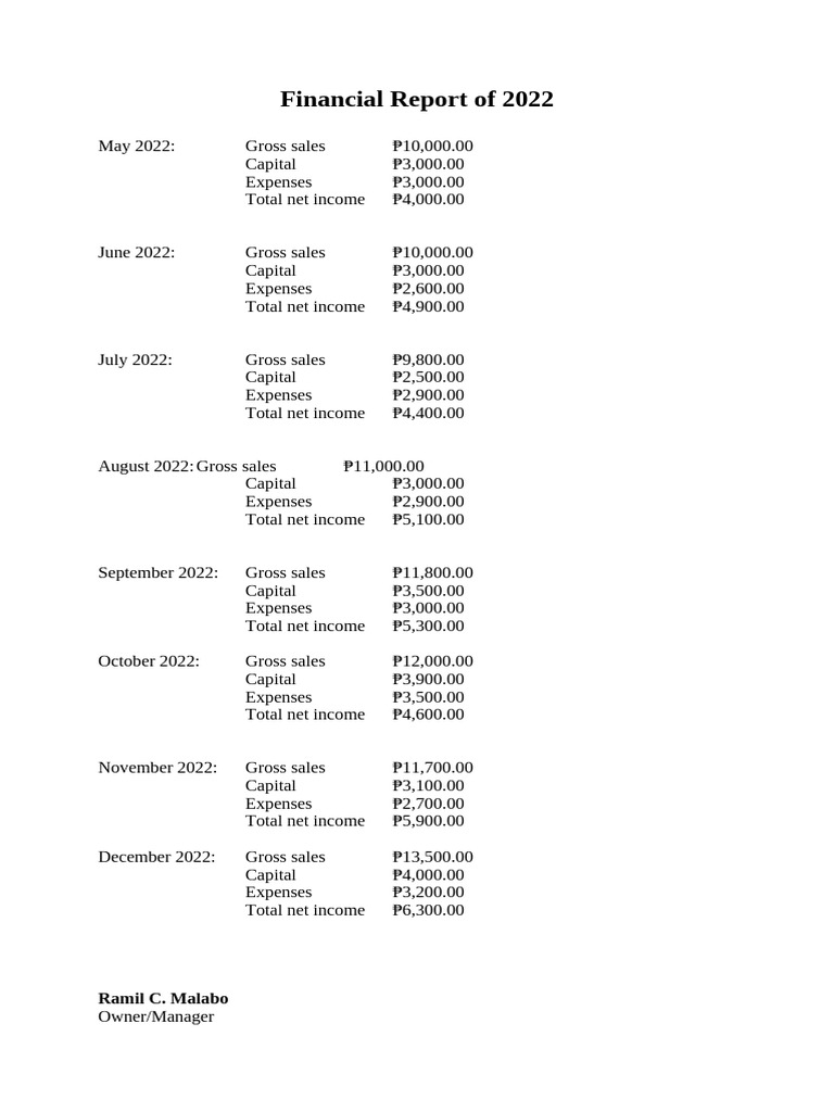 2022 Financial Report Summary | PDF