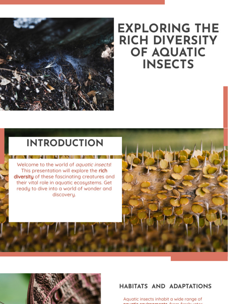 Wepik Exploring The Rich Diversity of Aquatic Insects ...