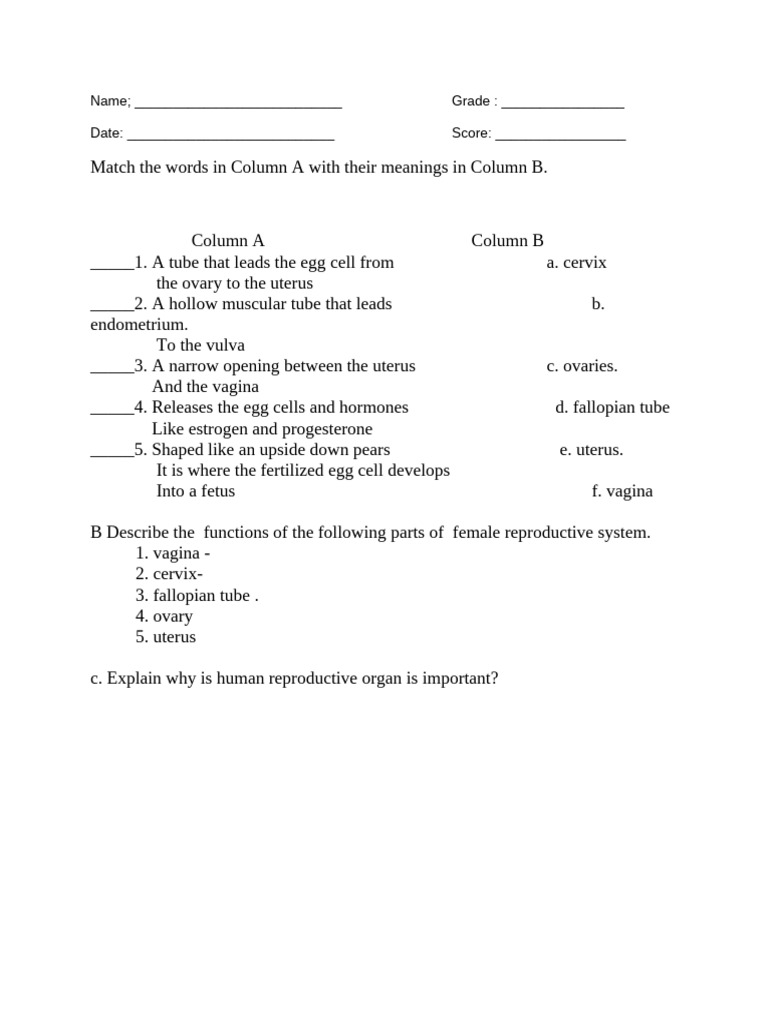 Activity Sheet 2 | PDF