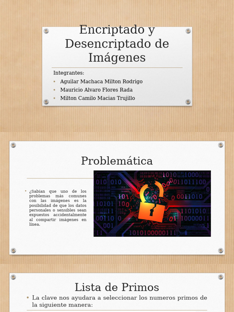 Encriptado y Desencriptado de Imágenes | PDF | Criptografía | Comunicación segura