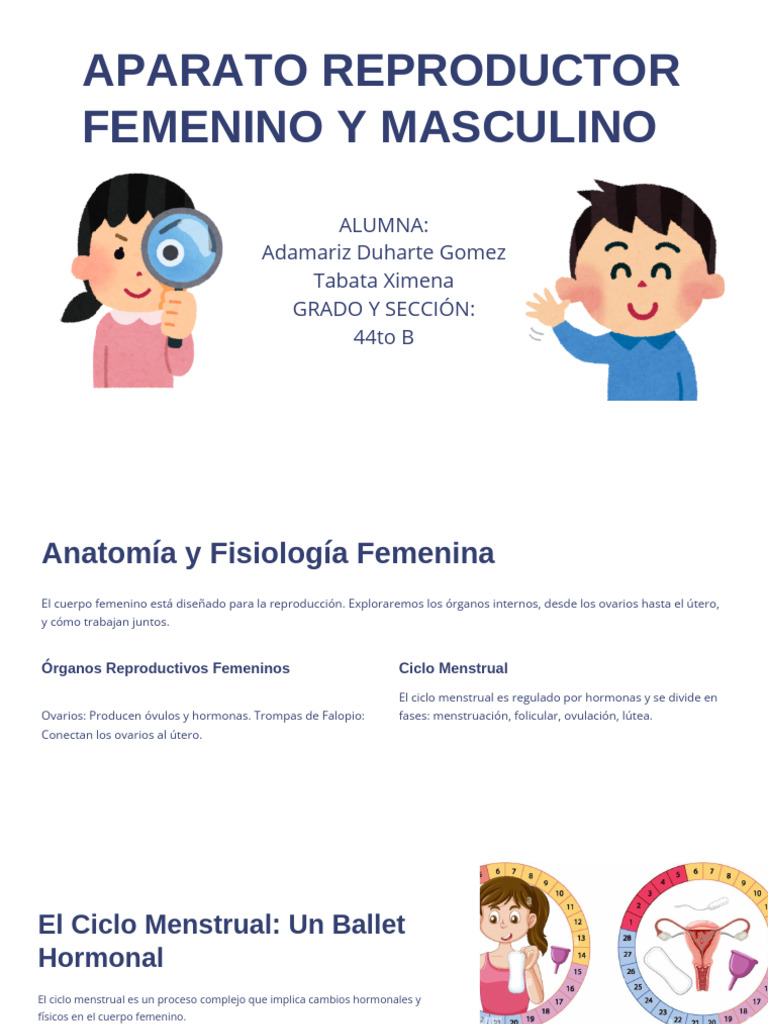 El aparato reproductor_20241212_012852_0000 | PDF | Sistema reproductivo | Ciclo menstrual