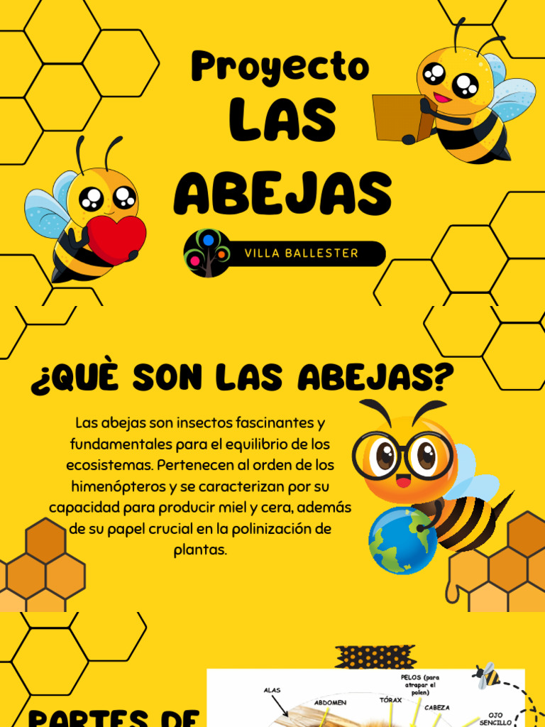 Importancia y funciones de las abejas | PDF | Western Honey Bee | Abejas
