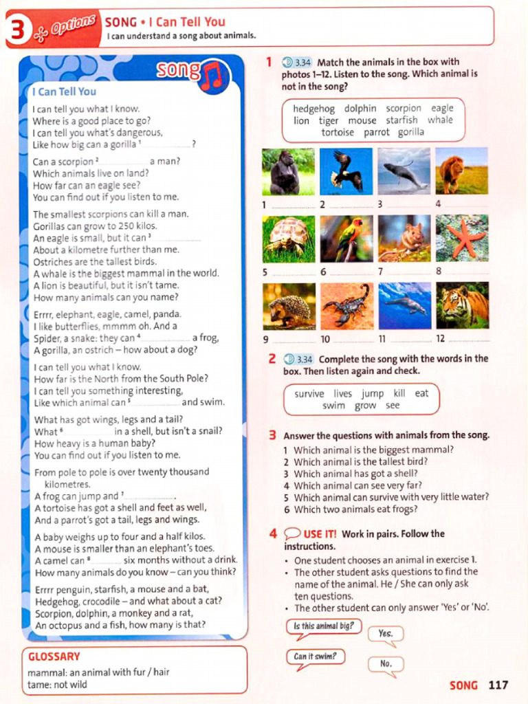 English Plus 117 - 20250324 - 230928 - 0000 | PDF