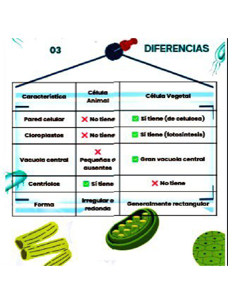 Image To PDF 20250325 23.18.10 | PDF