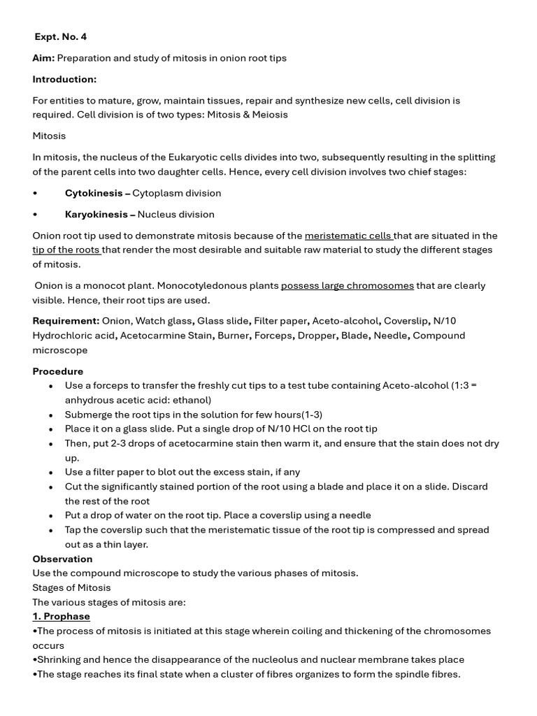 Expt No 4 | PDF | Mitosis | Chromosome