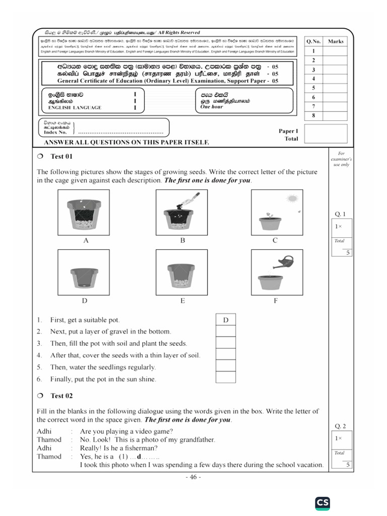 Model Paper 5 | PDF
