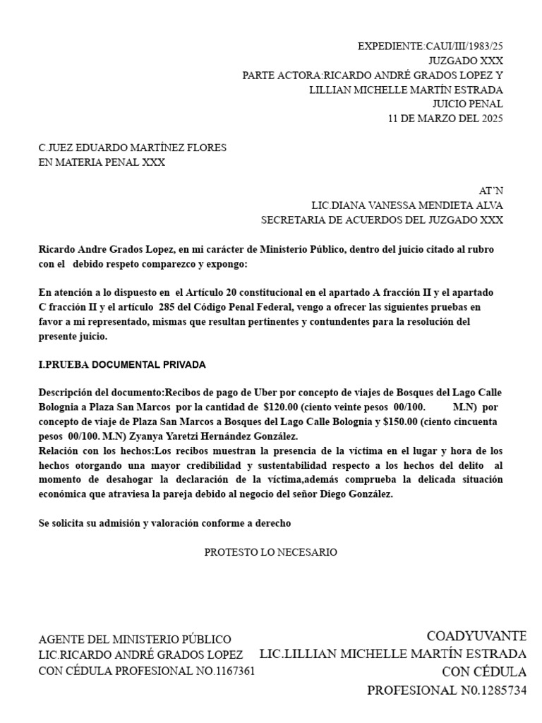 Prueba Documental 2 | PDF