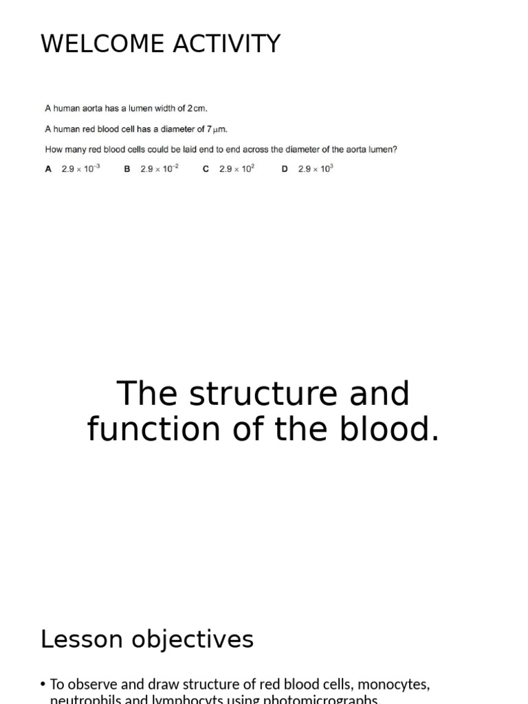 Blood Structure and Function Overview | PDF