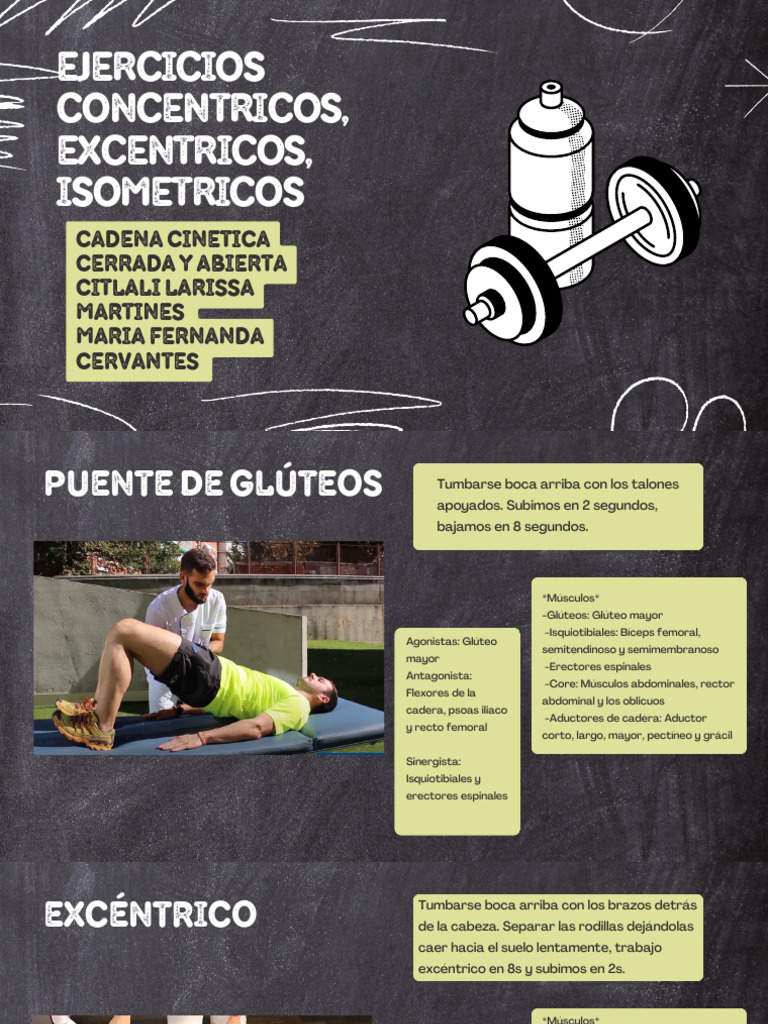 Ejercicios Isométricos, Concéntricos y Excéntricos | PDF | Anatomía ...