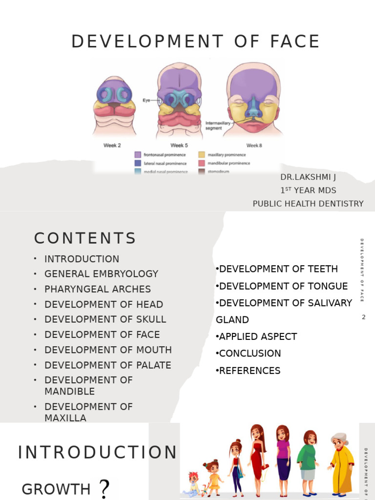 Development of Face | PDF | Human Nose | Human Anatomy