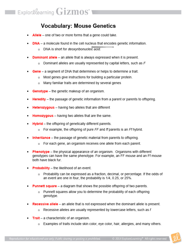 Genetics Pdf Allele Dominance Genetics