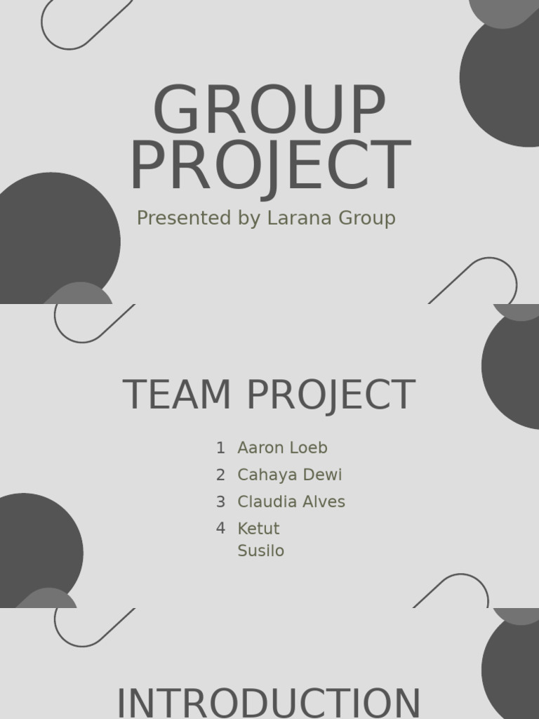 Group Project Overview by Larana Team | PDF